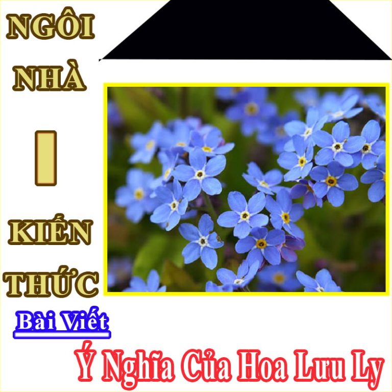 Ý Nghĩa Của Hoa Lưu Ly Là Gì? Loài Hoa Biểu Tượng Cho Sự Dũng Cảm